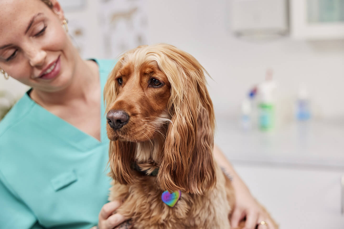 Common Puppy Injuries: Prevention and First Aid Tips | Pets