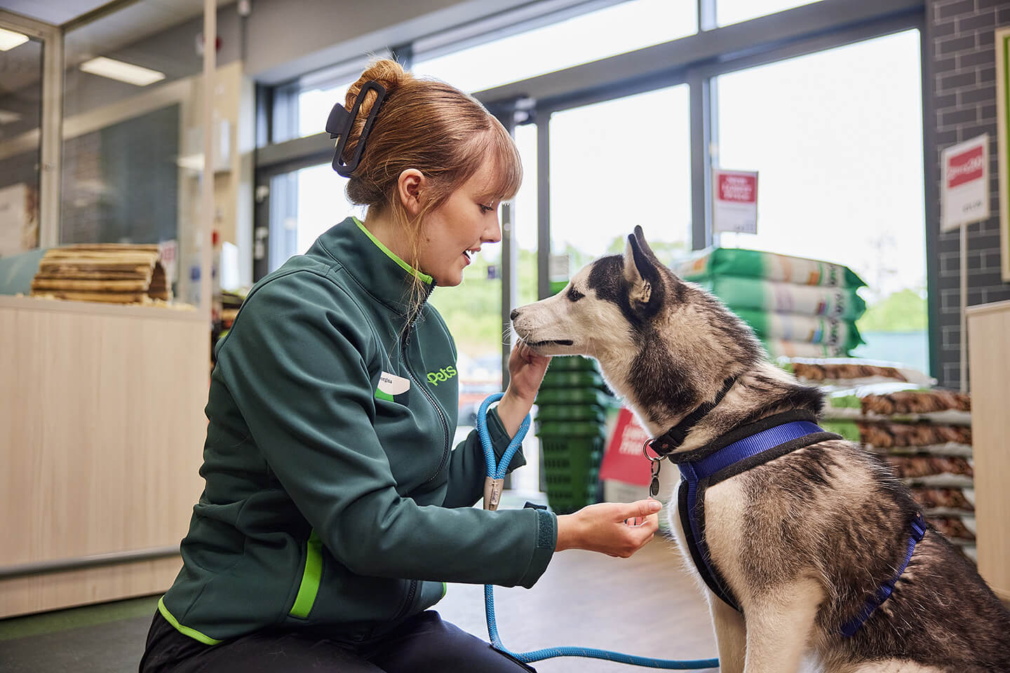 Dog Aggression Training: Tips for Managing Aggressive Behaviour | Pets