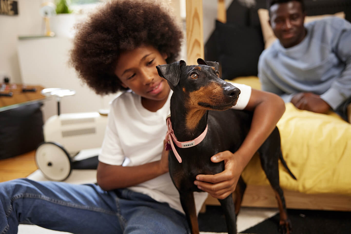 Dog Travel Tips: Safe and Comfortable Journeys with Your Dog | Pets