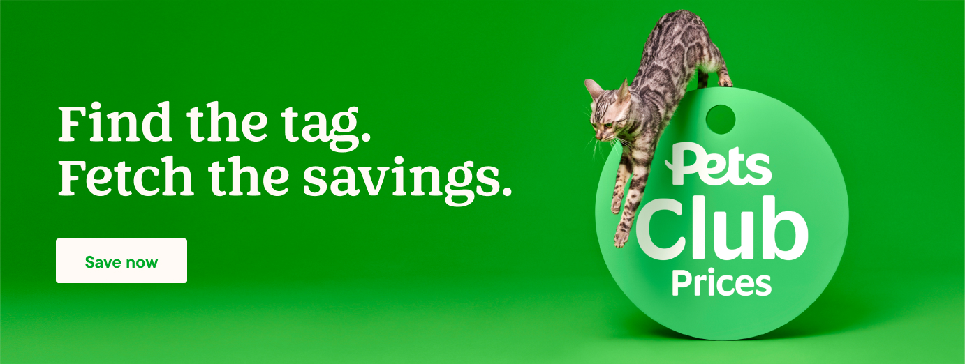 Webbox Lick-e-Lix Cream Milk & Yoghurt Cat Treat | Pets