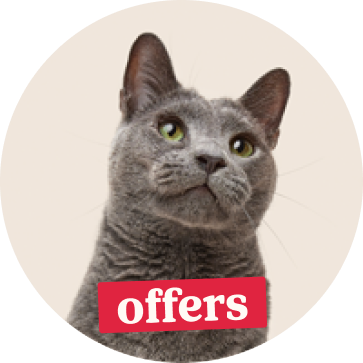 Shop Our Top Offers | Pets